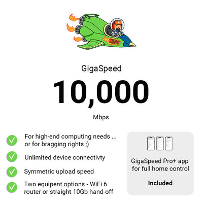 Internet Overview Page - Centric Fiber