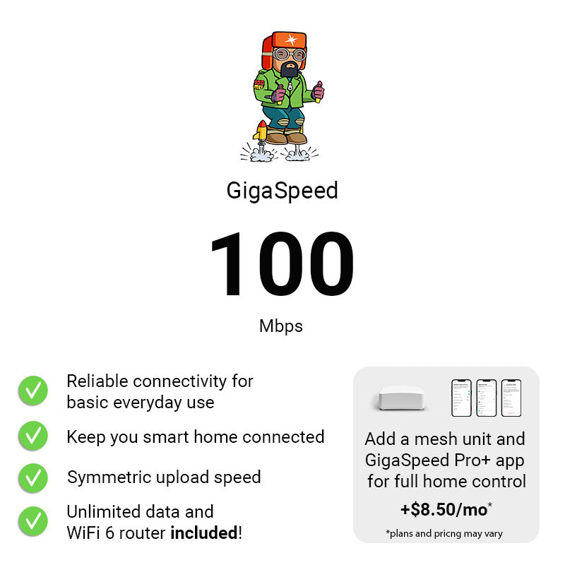 Internet Overview Page - Centric Fiber